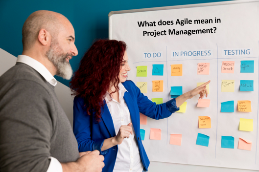 What does agile mean in project management? – ITSM Docs - ITSM ...